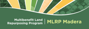Multibenefit Land Repurposing Program (MLRP) - Madera County - Water ...